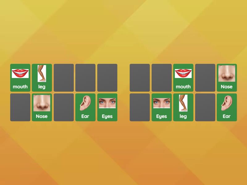 Body Parts Memory Game - Parejas