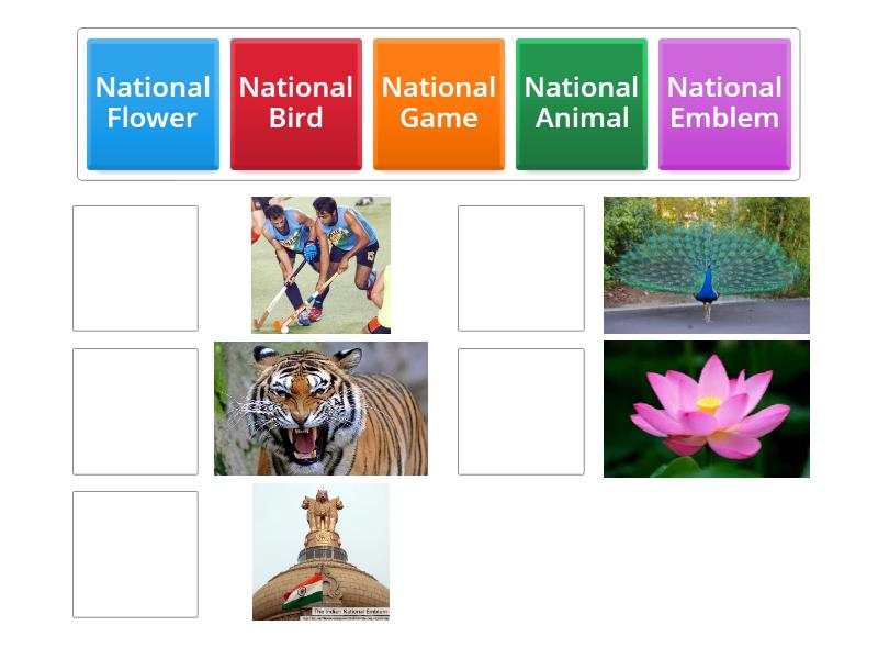 National Symbols - Match up