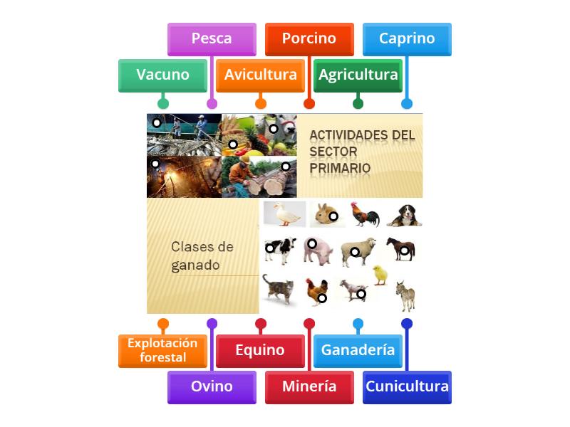 Actividades del sector primario - Labelled diagram