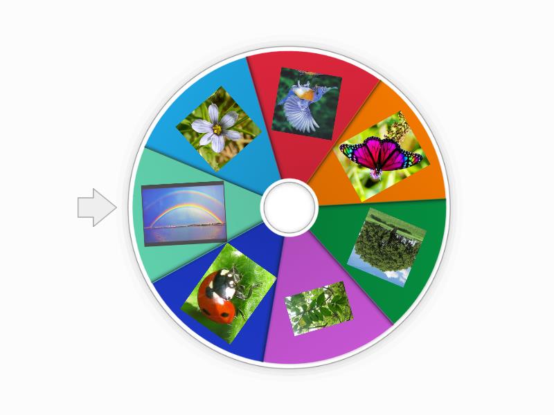 Spring vocabulary - spin - Koło fortuny