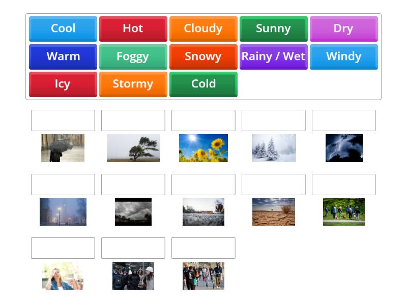 Types of weather - Match up