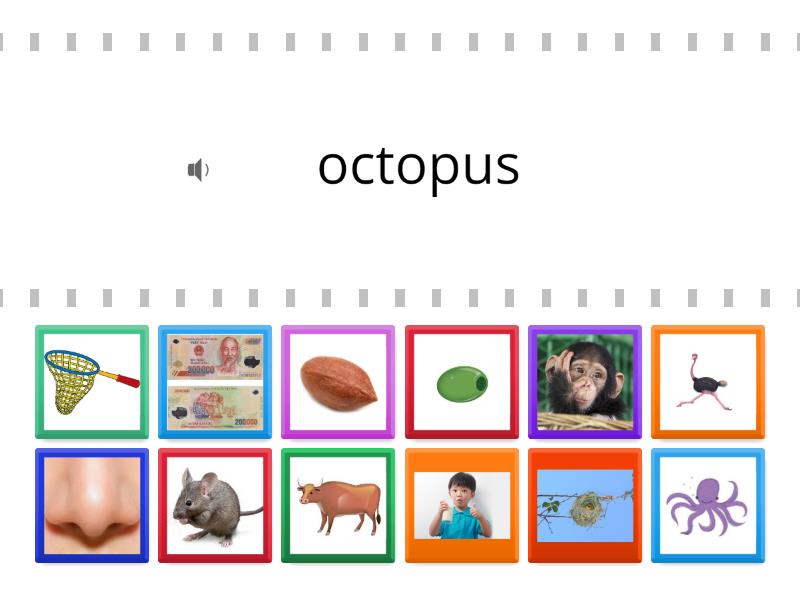 Letters MNO review - Cada oveja con su pareja