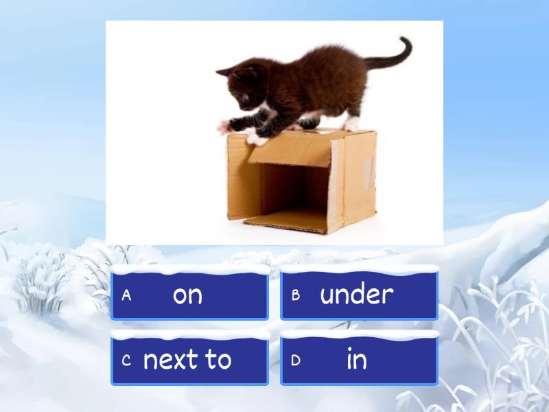 in, on, under, next to - Quiz