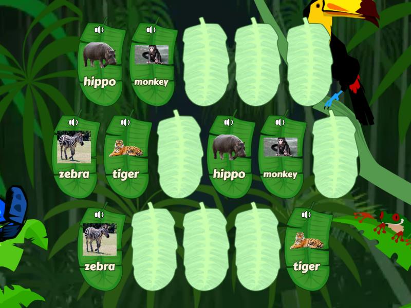 zoo - Matching pairs