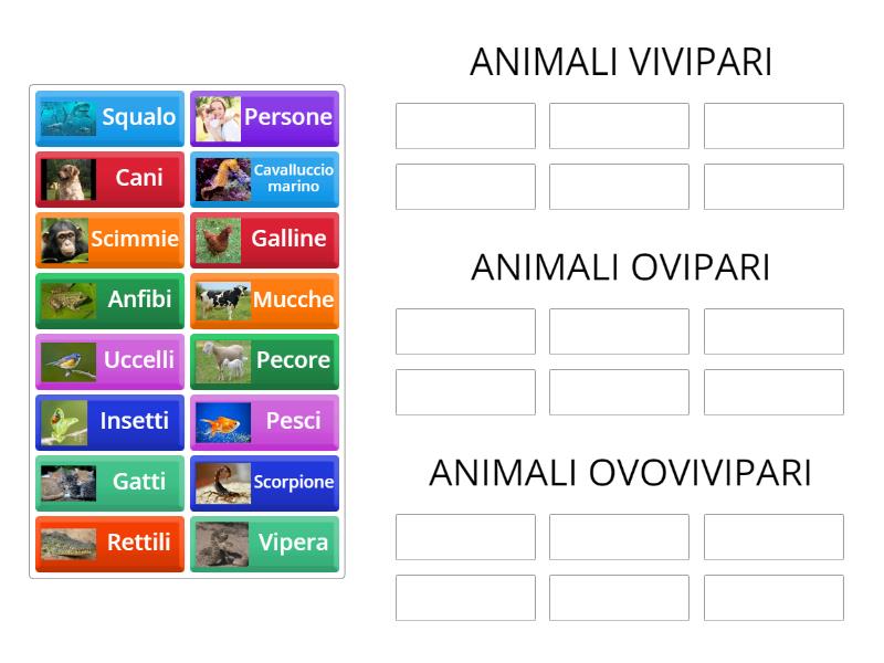 RAGGRUPPA I VIVIPARI, OVIPARI O OVOVIVIPARI - Group sort