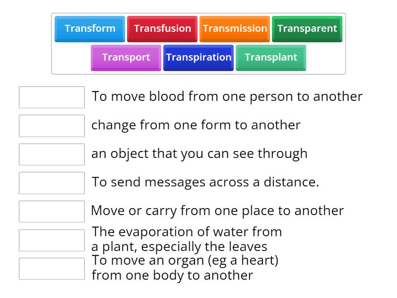 Trans prefix - - Match up