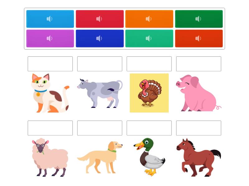 Animals' sounds - Match up