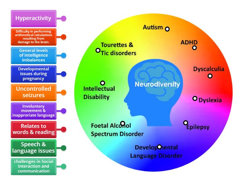Neurodiversity - Labelled diagram
