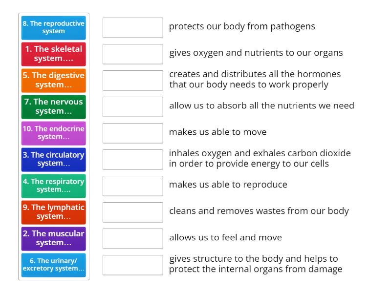 1. Match the main functions of each body system. (P 27 ex 2) - Match up