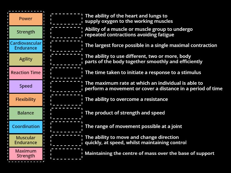 Components of Fitness - Match up