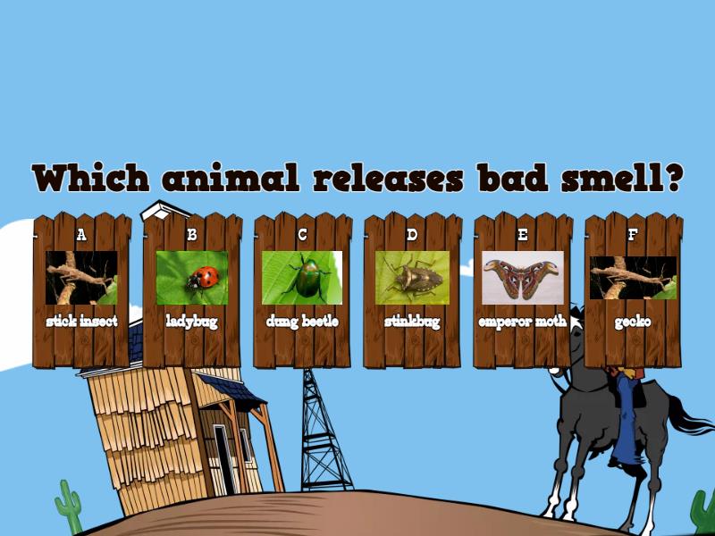 How do animals protect themselves from the enemy? match them up. - Quiz