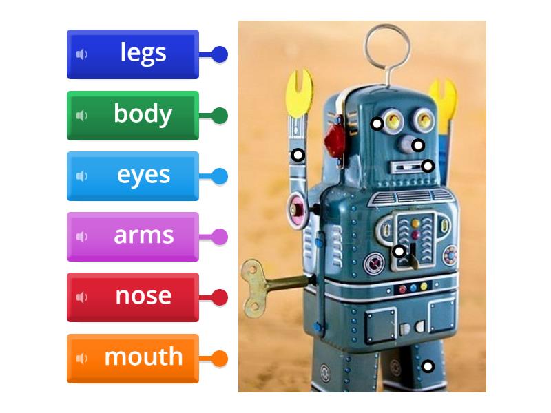 robot - body parts - Labelled diagram