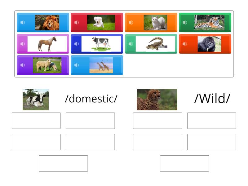 Animals - Group sort