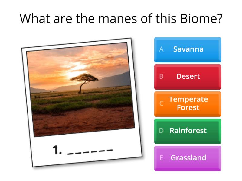 World Biomes - Quiz