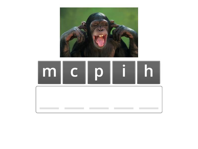 Unit 7A can - Anagram