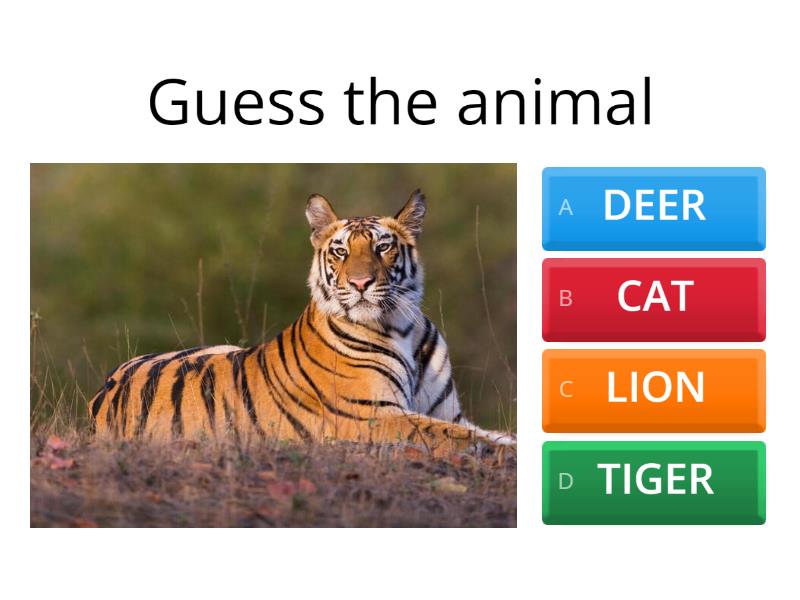 ANIMAL (BASIC) - Quiz