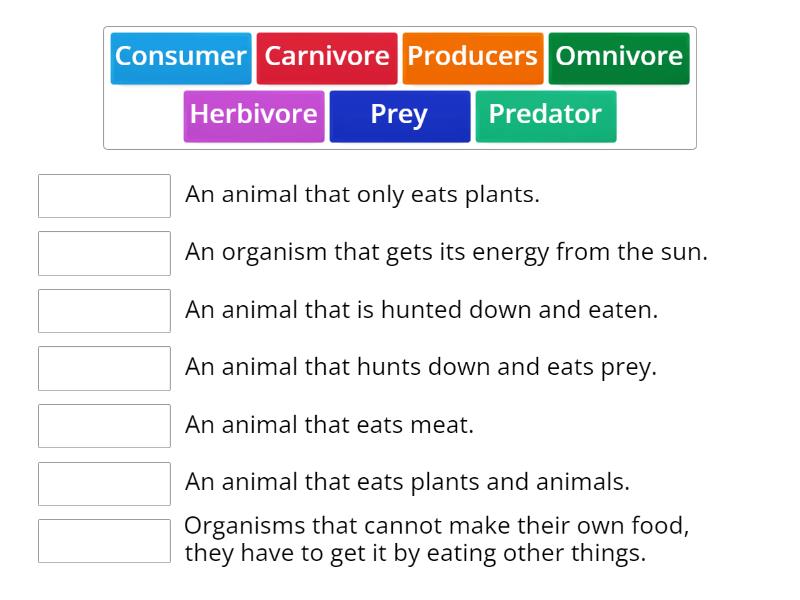 Food Chain vocabulary Year 3 - Match up