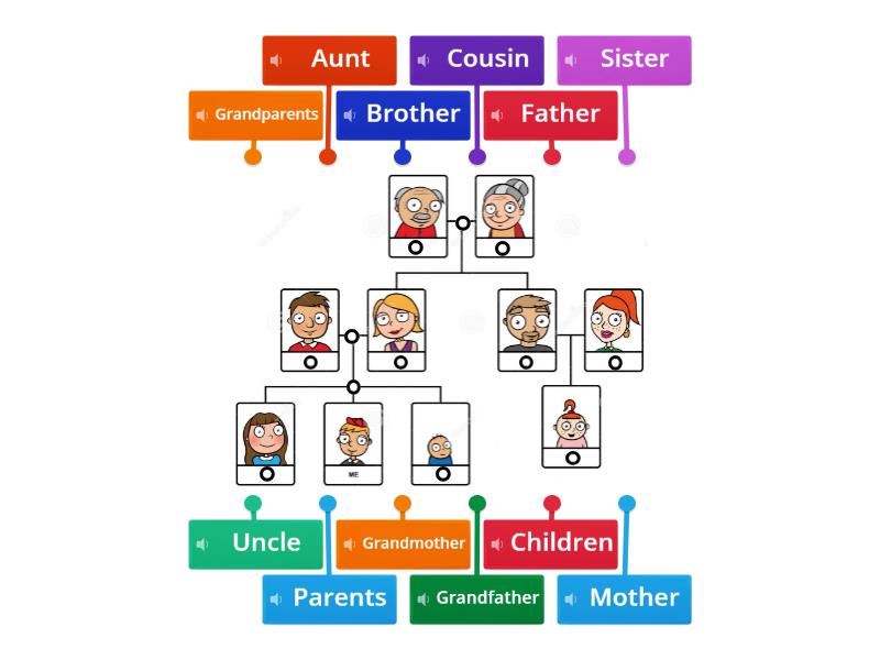Family tree - Labelled diagram