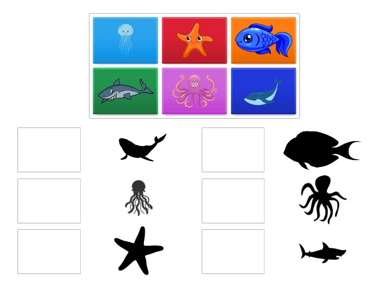 Guess the sea animal - Match up