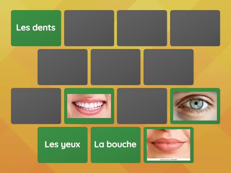 Les parties du visage (memory) - Matching pairs