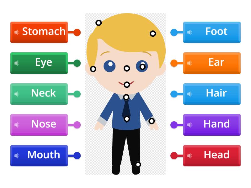 Unit 6 - Body Parts (Word Use) - Labelled diagram