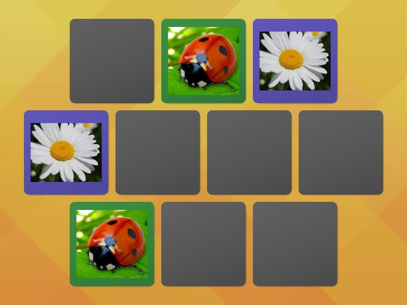 MEMORY PRIMAVERA - Matching pairs