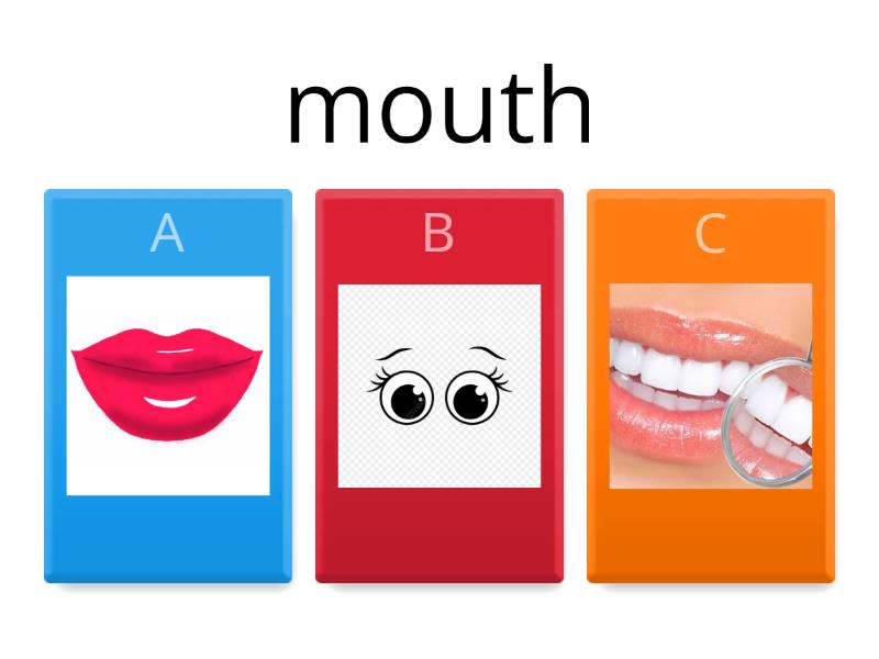 Parts of the face - Quiz