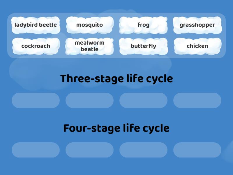 Classify the animals - Group sort
