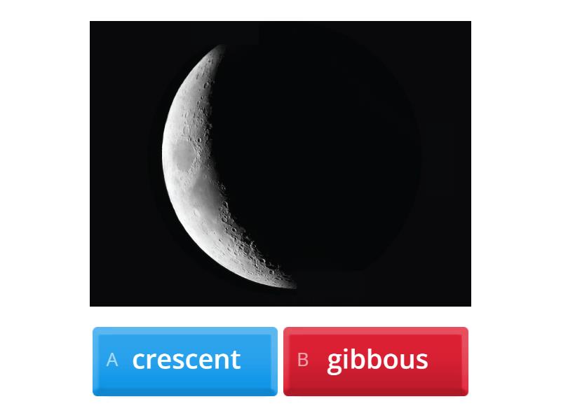 Unit 6 - Lesson 3 - Phases of the Moon 1 - Quiz