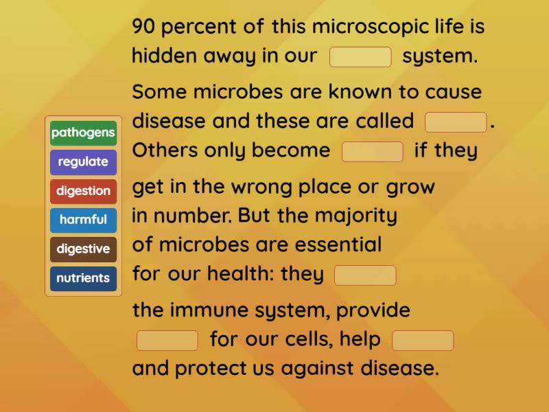 7D Focus 4 - Complete the sentence