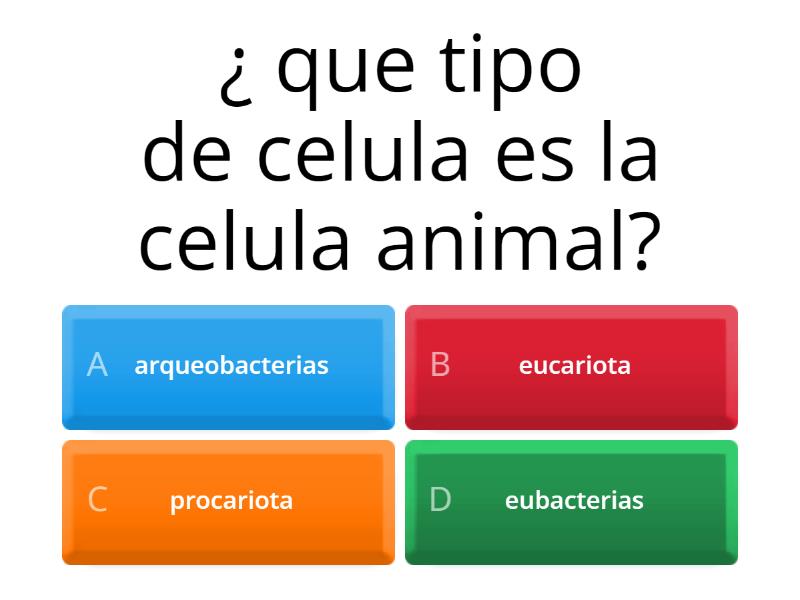 sala de trabajo 2 celula animal - Cuestionario