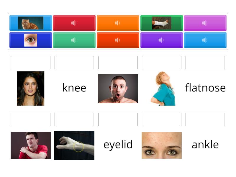 Parts of Body - Match up