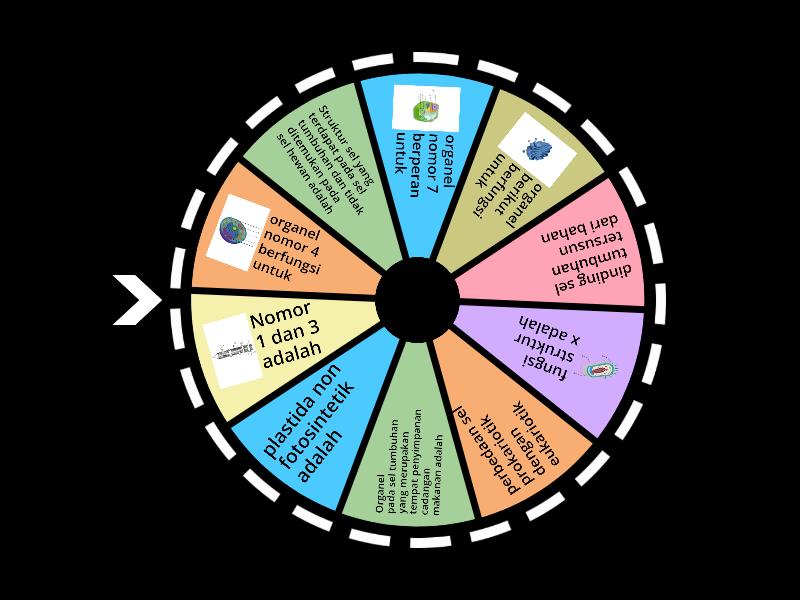 Struktur dan Fungsi Sel - Spin the wheel