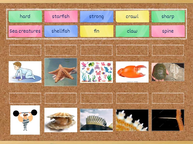 Unit 10 reading - Match up