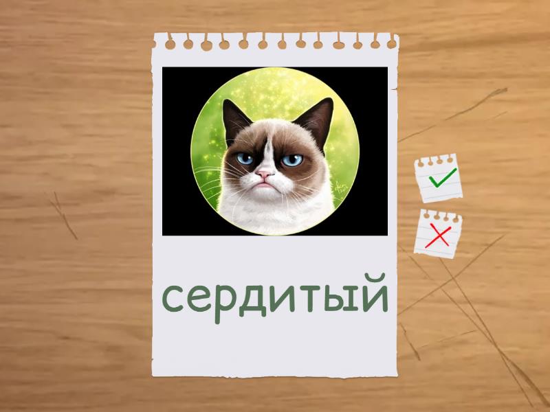 The Feelings Fair - Flash cards