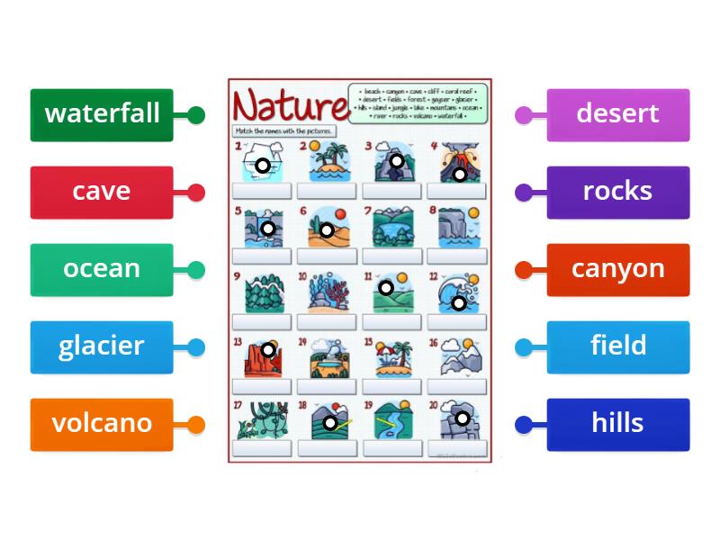 nature - Labelled diagram