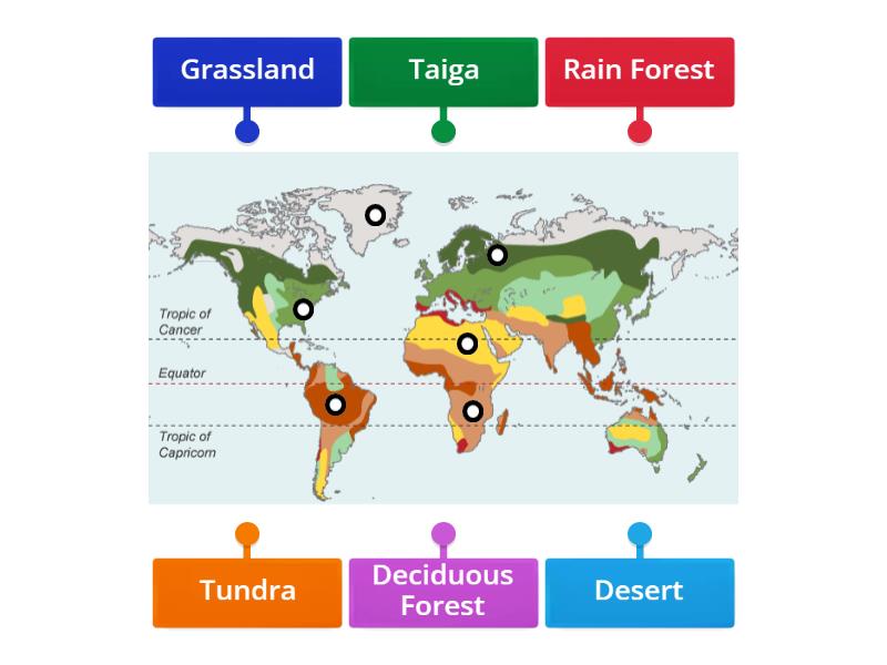 Location of Biomes - Labelled diagram