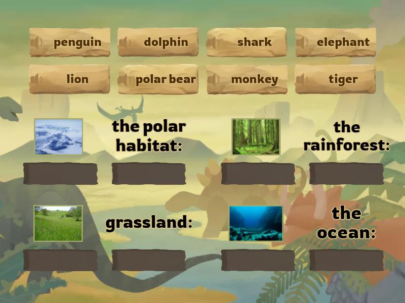 Habitats: - Group sort