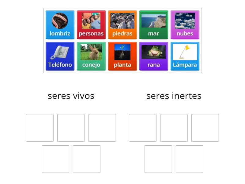 seres vivos e inertes - Group sort