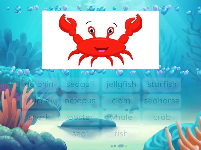 Sea Creatures - Find the match