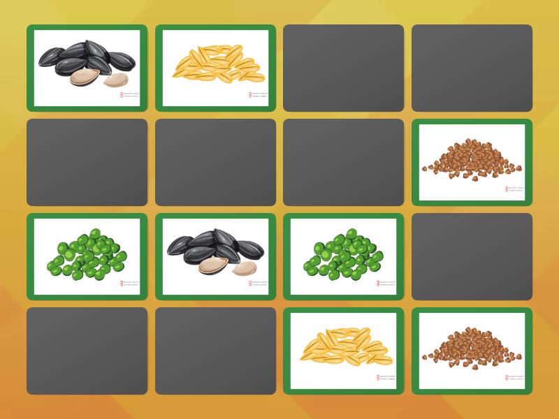 Match a plant with its seed - Matching pairs