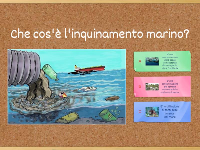 L'INQUINAMENTO DEL MARE - Quiz