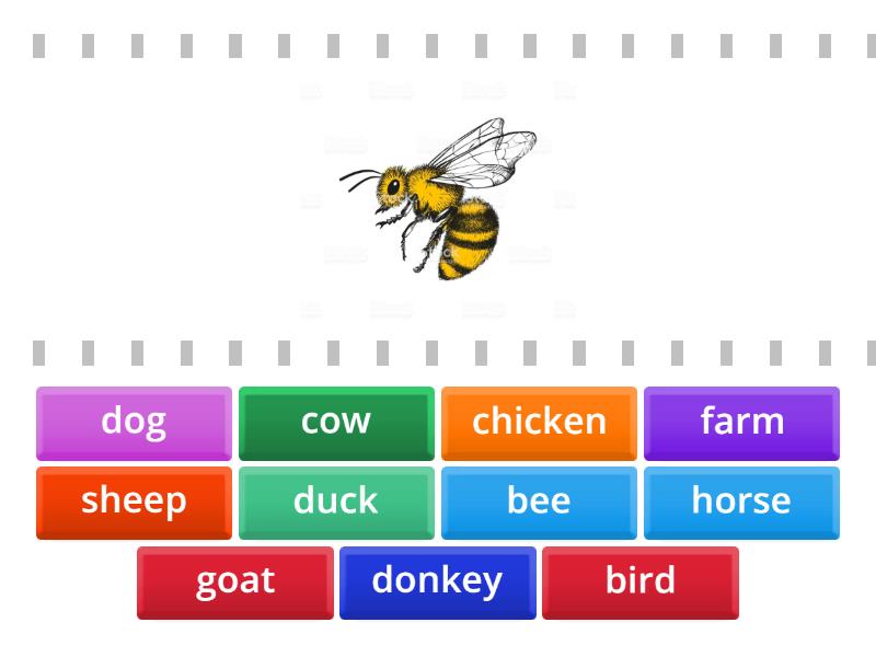 ANAGRAM Look 1 unit 8 - Find the match