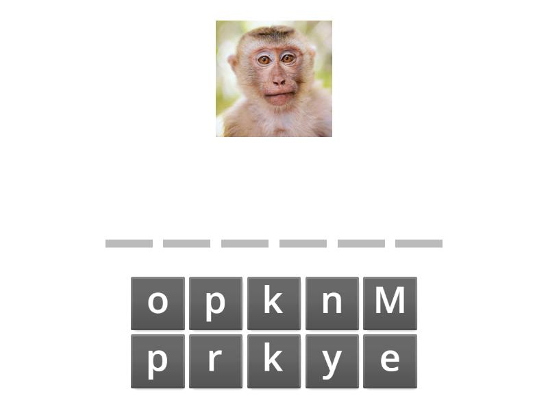 Spelling - zoo animals (part 1) - MEIE - Spell the word