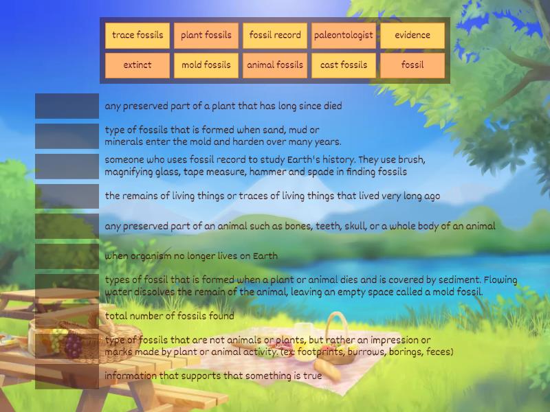 Grade 3 Science Vocabulary Review Pack 1 - Match up