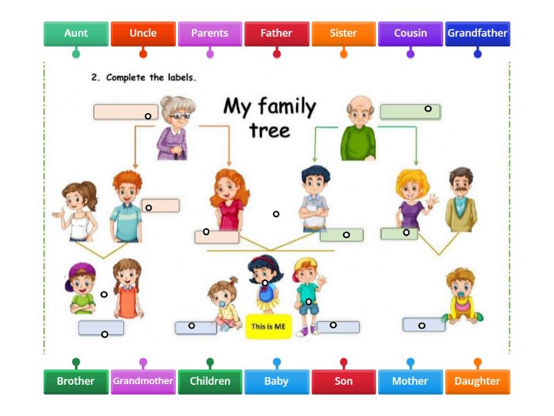 Family - Labelled diagram
