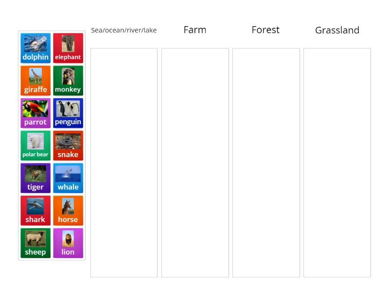 Match animals with their habitats - Categorize