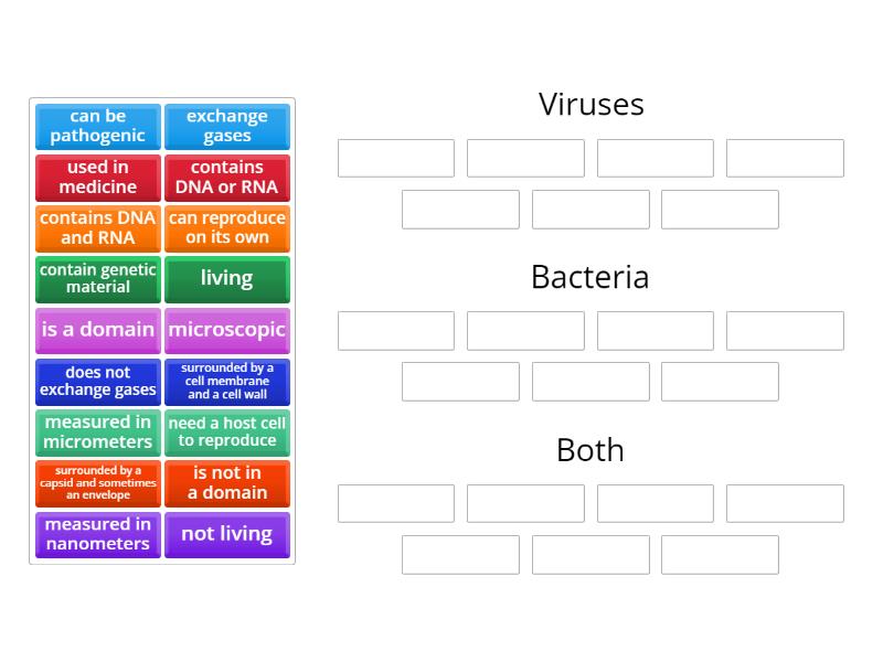 Compare and Contrast Viruses and Bacteria - Group sort