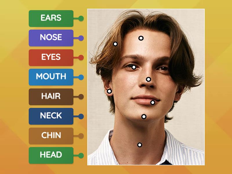 BODY PARTS 1 - Labelled diagram