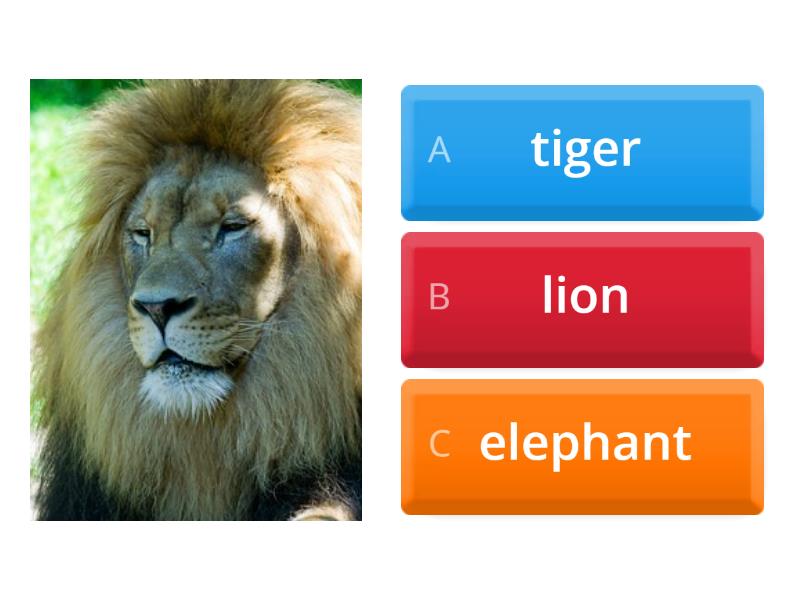 Choose the wild animal's name based on the picture correctly. - Quiz